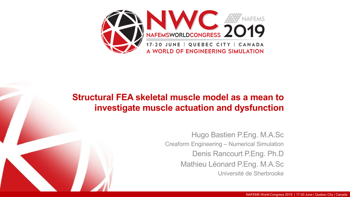 NAFEMS - Structural FEA Skeletal Muscle Model as a Mean to Investigate ...