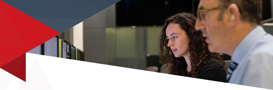 Implementing a simulation strategy Training Course